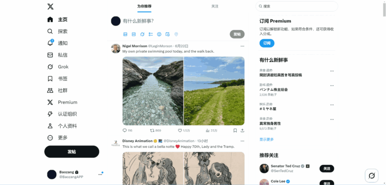 [2025] X/Twitter 推特用户名忘了、验证总是显示错误怎么办？6种方法带你找回用户名 – 宝藏APP导航
